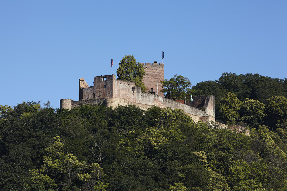 Burgruine Landeck . Burgenlandschaft Pfalz